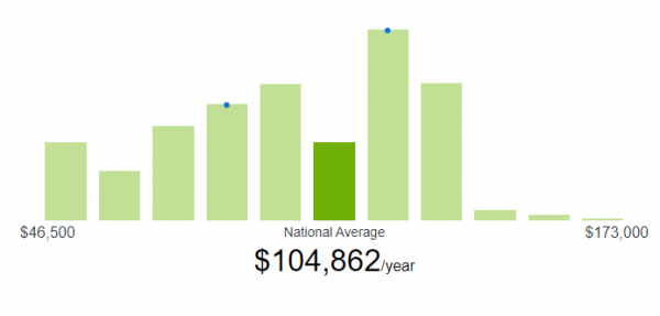 Finance Project Manager Roles and Responsibilities