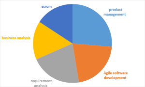 Product Owner Roles And Responsibilities