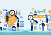 Microsoft Project Standard vs Professional: Key Differences