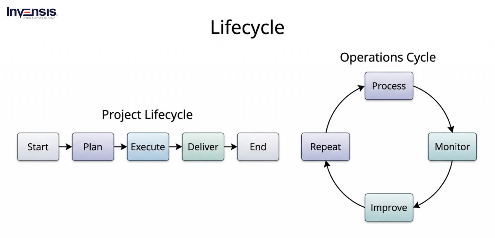 Project Management vs Operations: A Comparison Guide