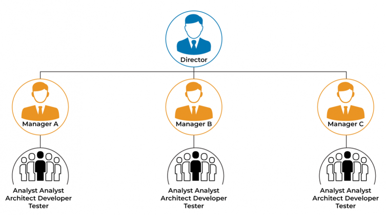 Project-Based Organizational Structure Explained