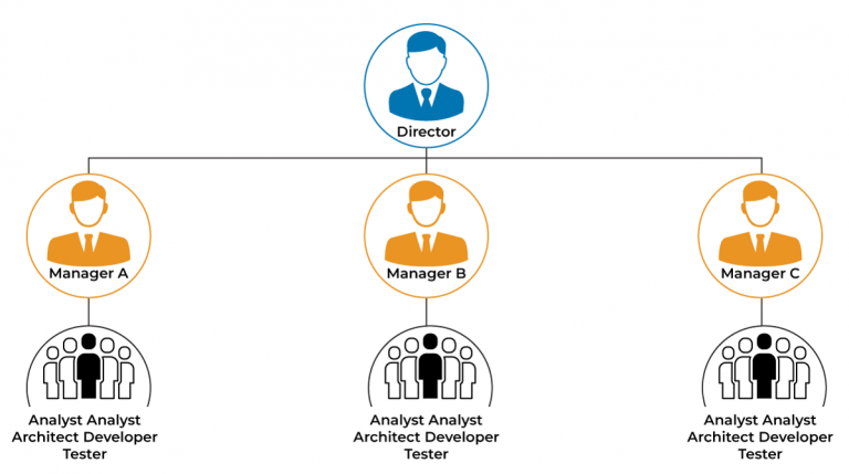 Project-Based Organizational Structure Explained