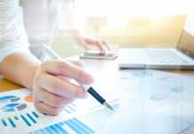 OPA vs EEF: Key Differences in Project Management