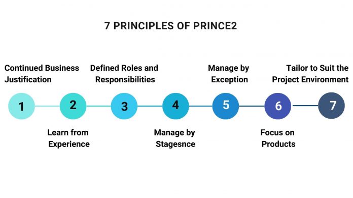 What is PRINCE2? Methodology, Principles, Processes, Themes & Usage