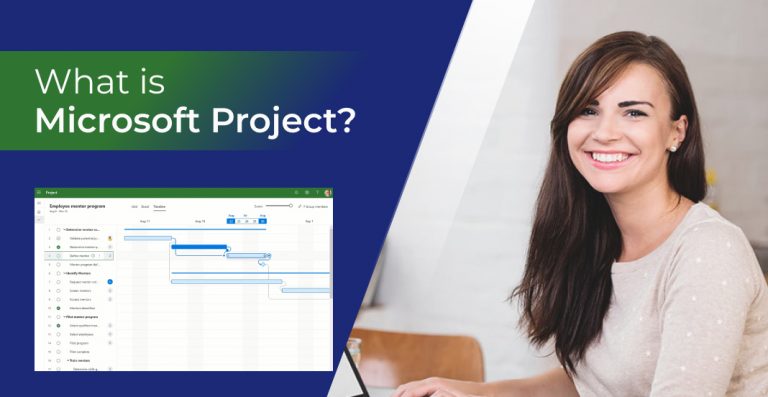What is Microsoft Project? A Step-by-Step Guide for Beginners