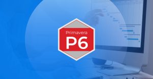 What is Oracle Primavera P6? Overview & Features