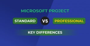 Microsoft Project Standard vs Professional: Key Differences