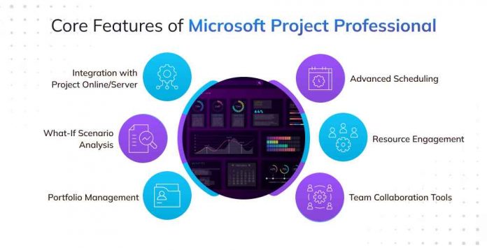 Microsoft Project Standard vs Professional: Key Differences