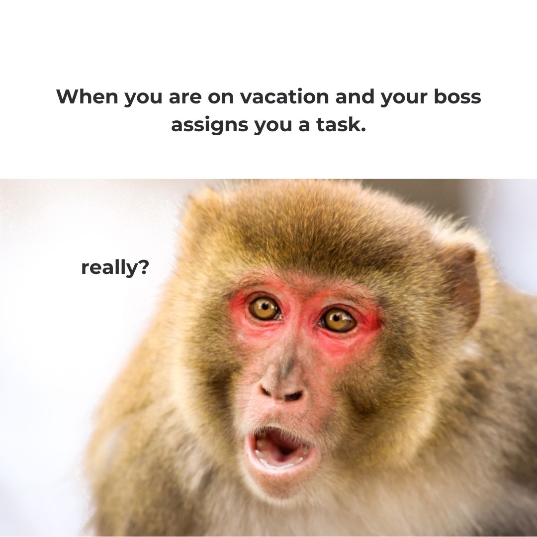 Project Management Memes: The Funniest Collection