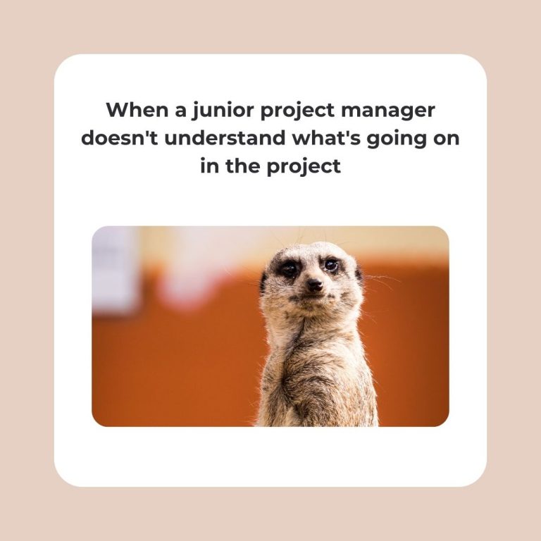 Project Management Memes: The Funniest Collection