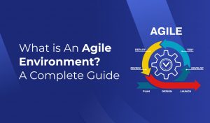 Understanding What is An Agile Environment?