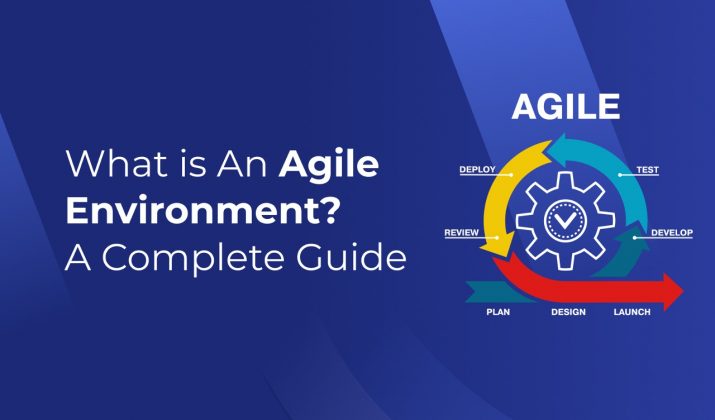 Understanding What is An Agile Environment?