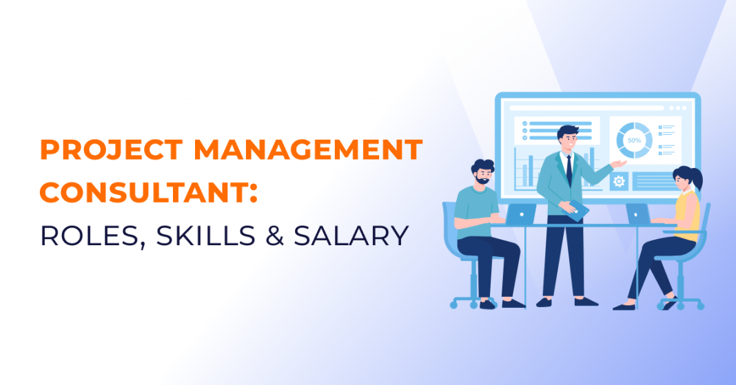 Project Management Consultant: Role & Skills